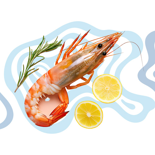 Fructe de mare - Darali Star